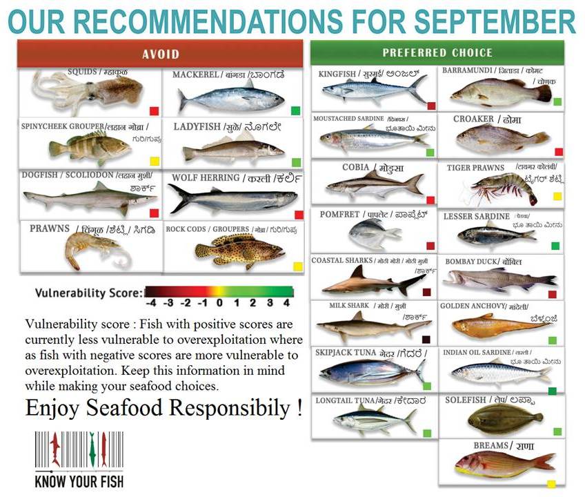 What month should you avoid eating fish?