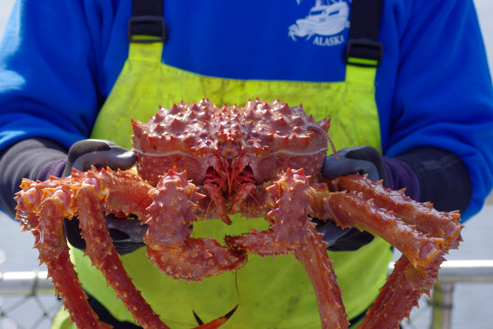 What months are crab season in Alaska?