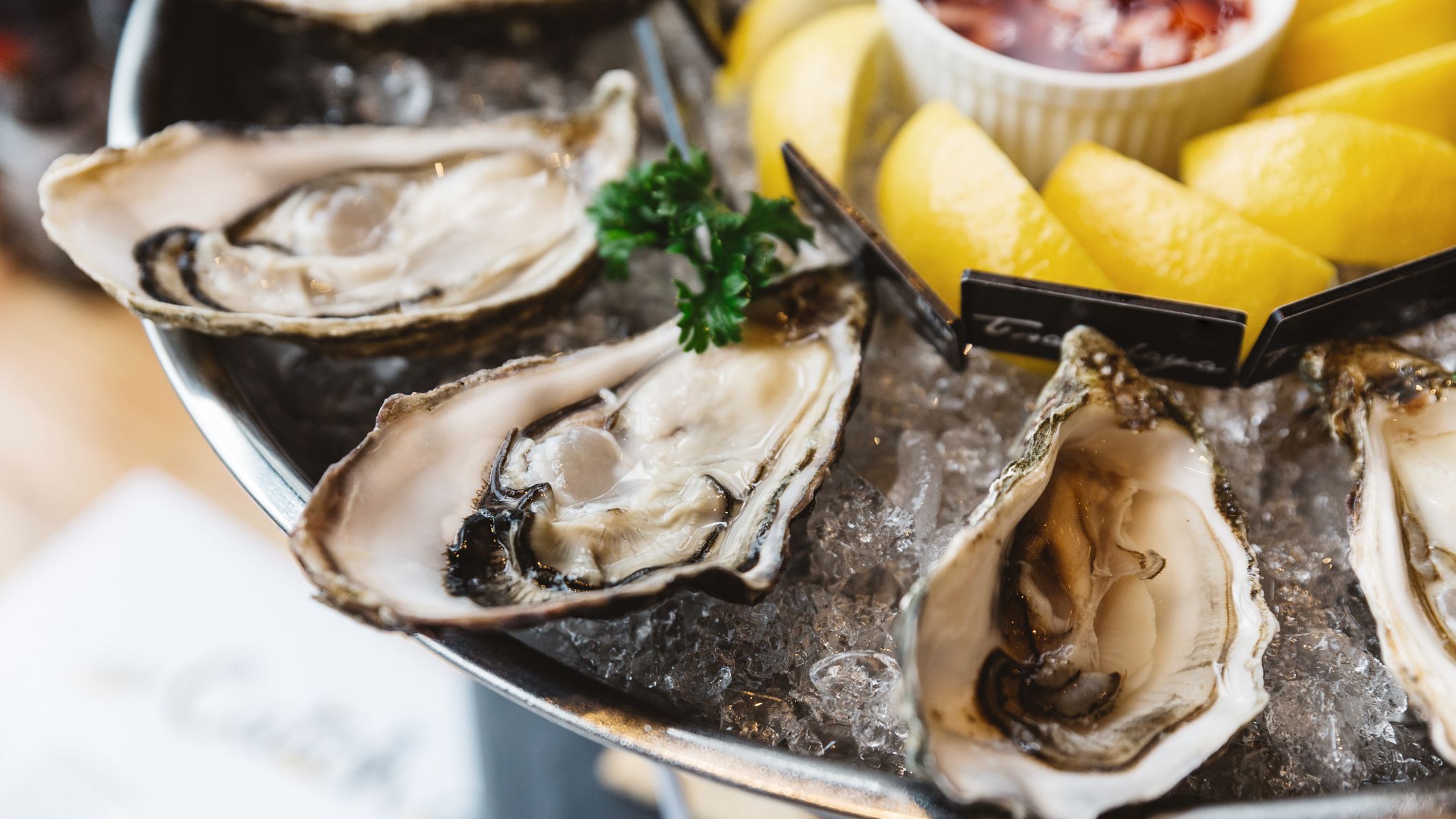 What months are oysters in season?