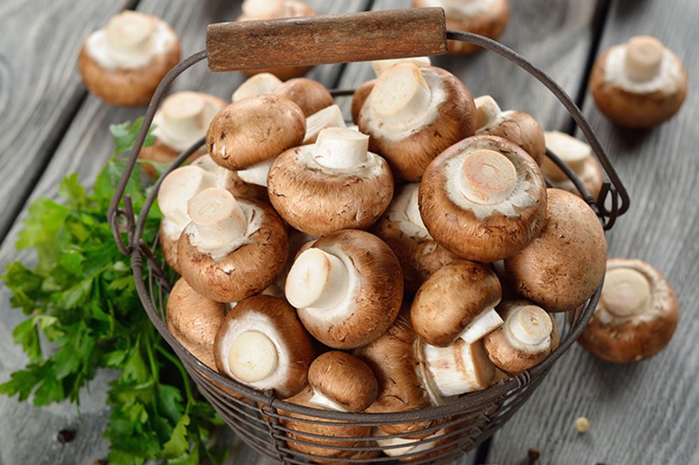 What mushroom is best for weight loss?