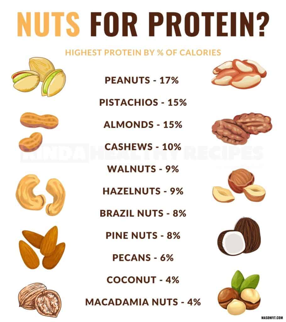 What nut is highest in protein?