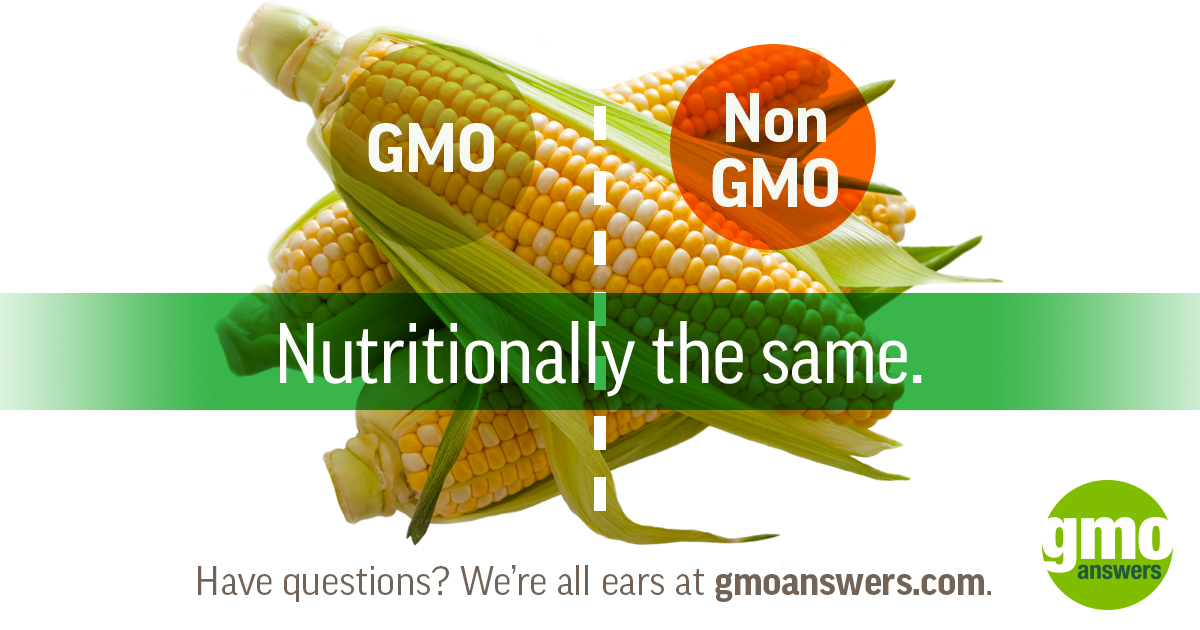 What nutrients do GMOs have?