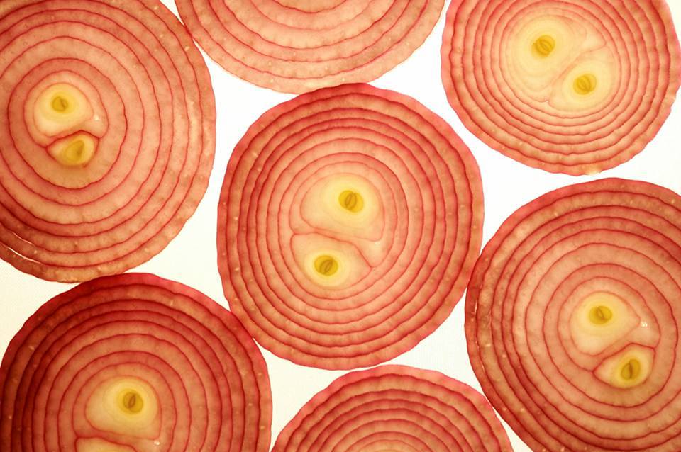 What organs are onions good for?