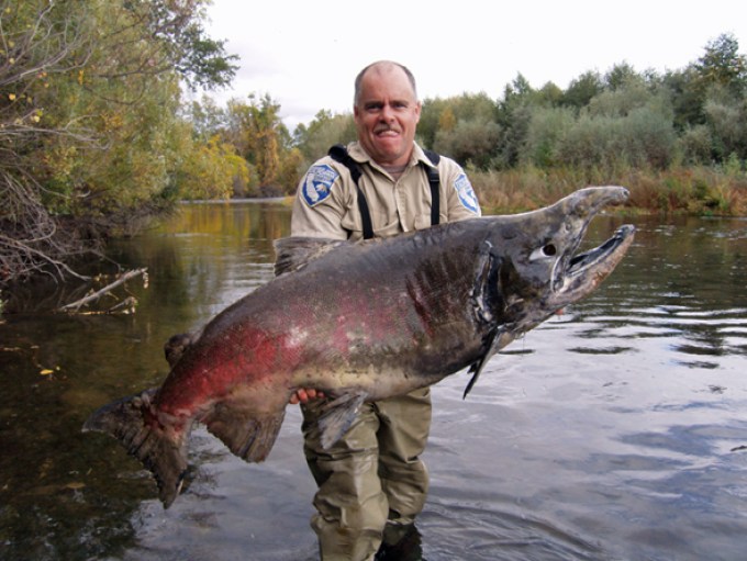 What Pacific salmon is the largest?