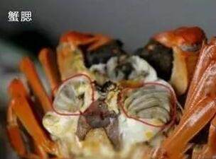 What part of a crab can you not eat?