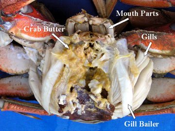 What part of a crab is not edible?
