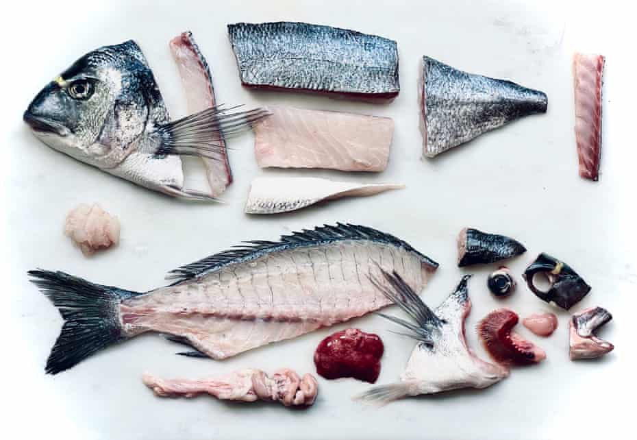 What part of a fish can you eat?