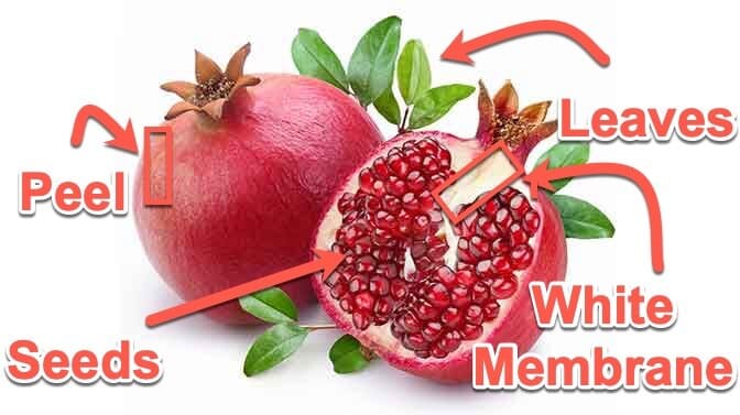 What part of a pomegranate is poisonous?