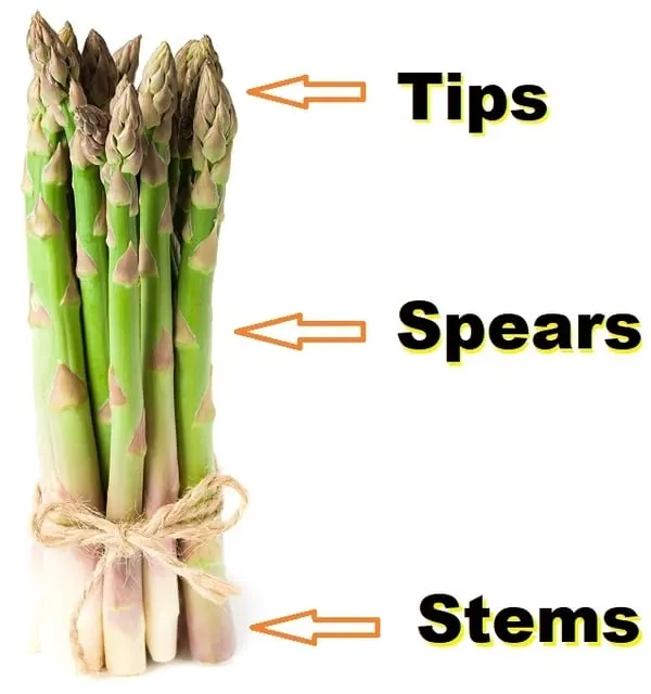 What part of asparagus should you not eat?