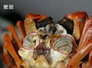 What part of the crab are you not supposed to eat?