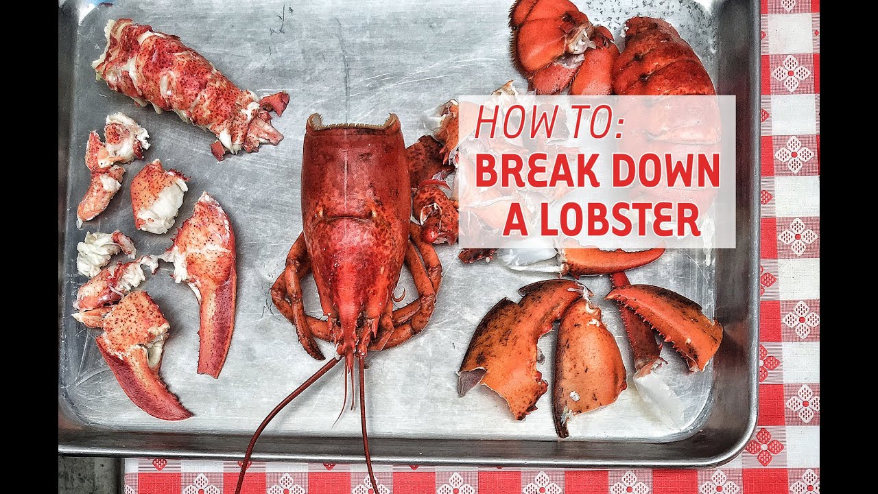 What part of the lobster do you eat?