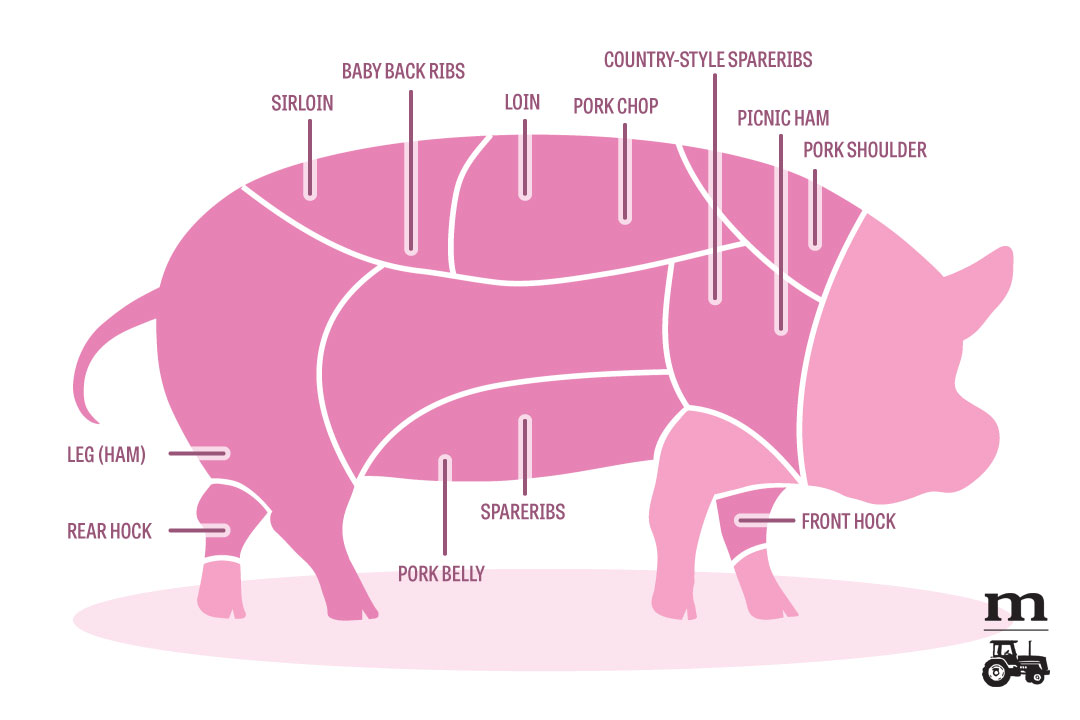 What part of the pig is a pork brisket?