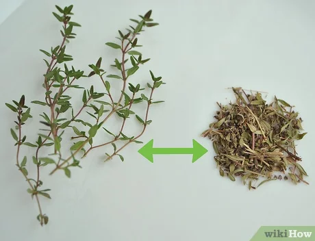 What part of thyme do you eat?