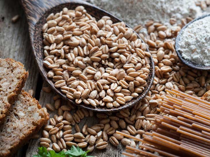What part of wheat has lectins?