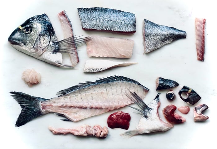 What parts of a fish are edible?