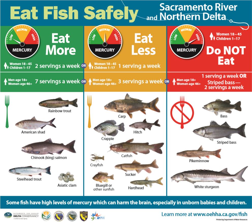 What parts of a fish are safe to eat? [2022] QAQooking.wiki