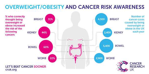 What percent of breast cancer is caused by obesity?