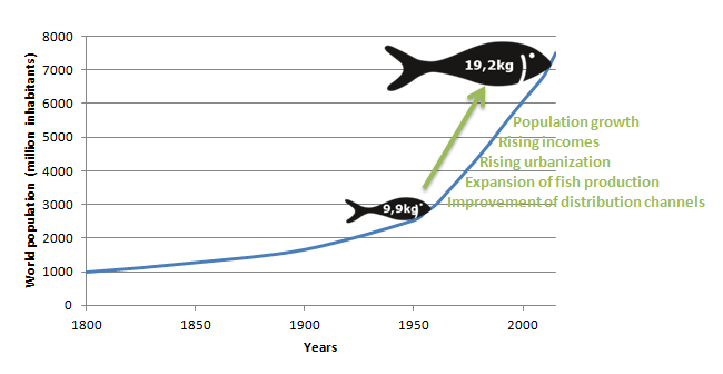 What percent of the world eat fish?