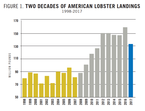 What percent of US lobster comes from Maine?