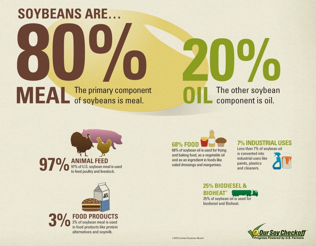 What percentage of soy is used for animal feed?