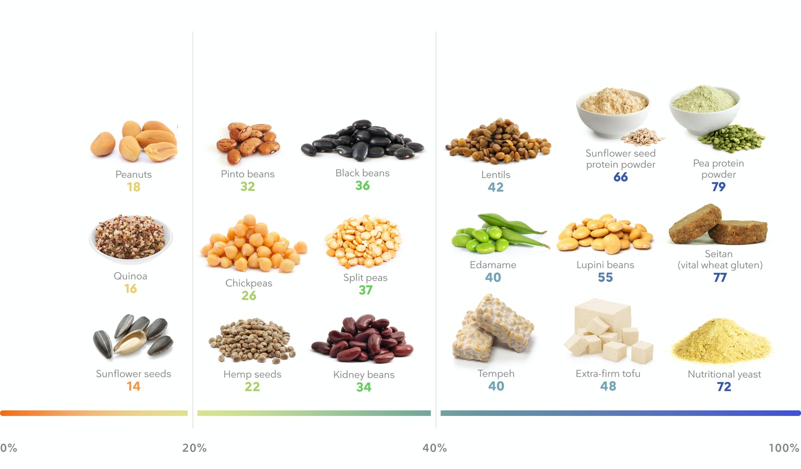 What plant-based foods are highest in protein?