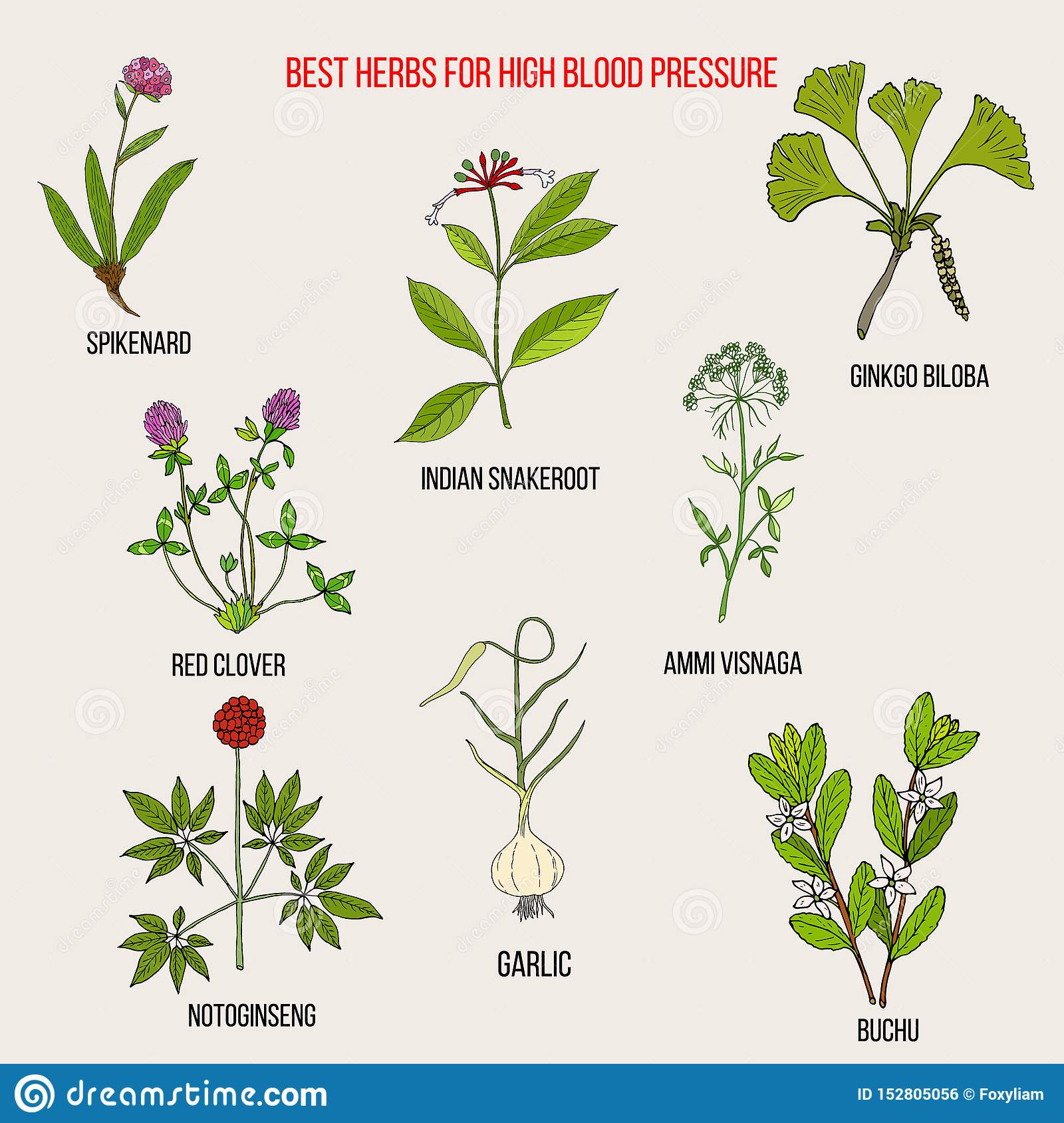 What plant is good for high blood pressure?