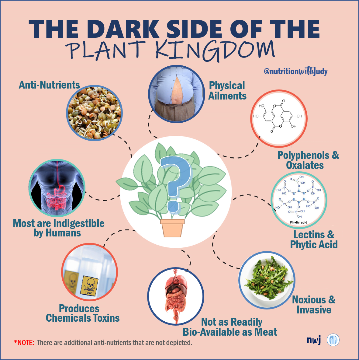 What plants have antinutrients?