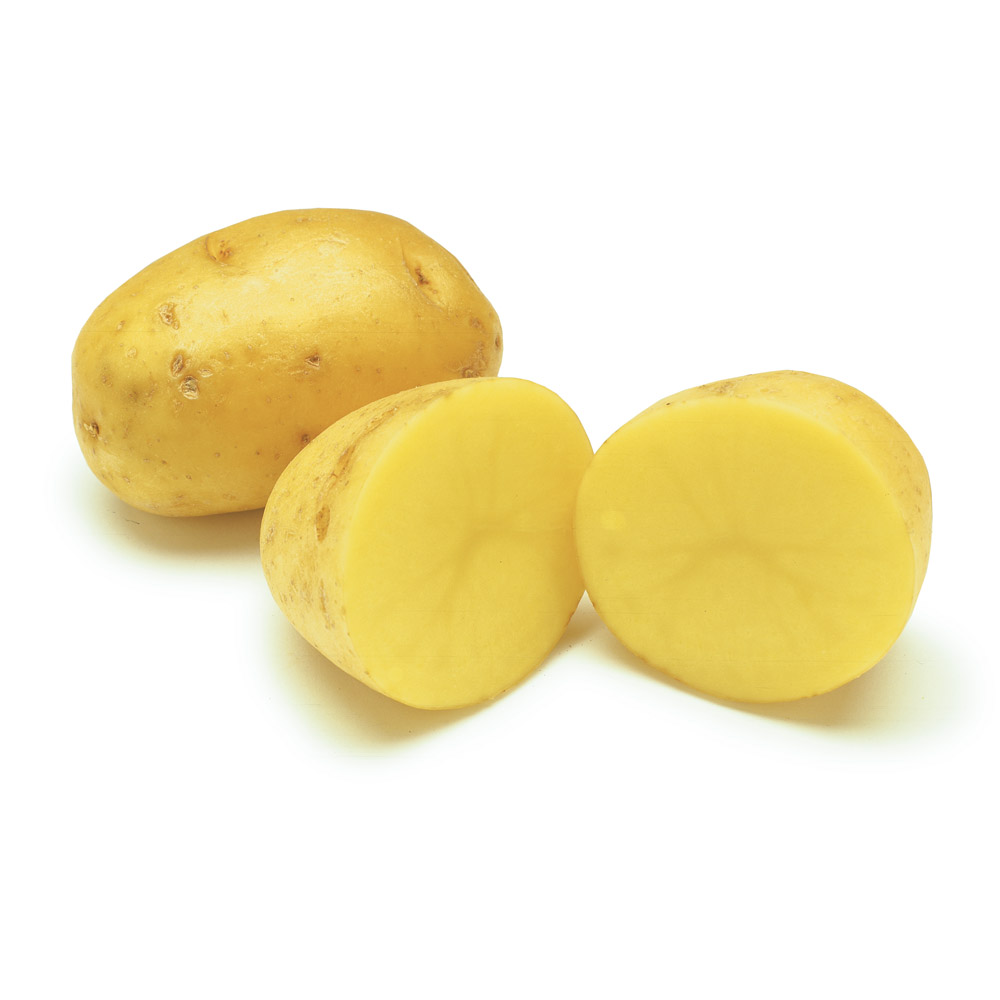 What potato is closest to Yukon Gold?