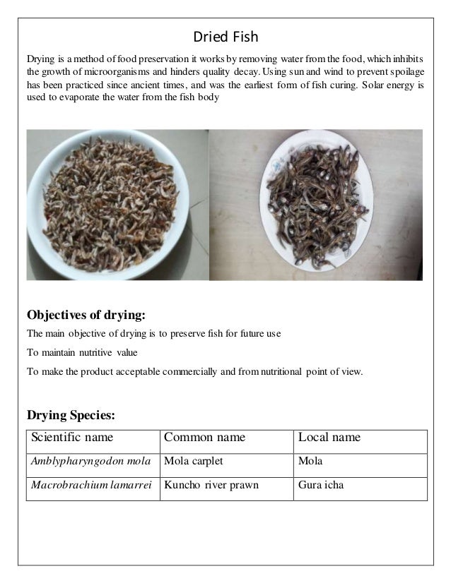 What prevents spoilage in dried fish?