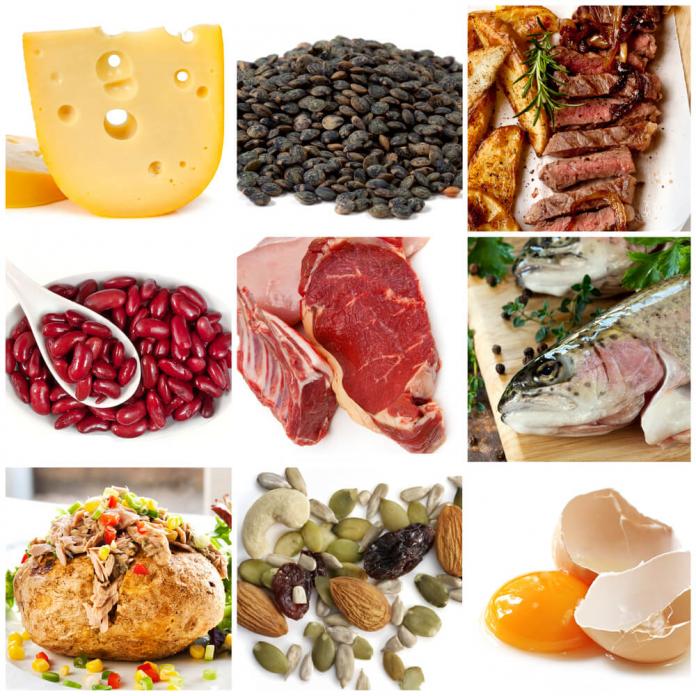 What protein contains carbohydrates?
