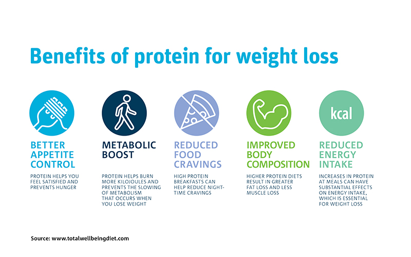 What proteins help burn fat?