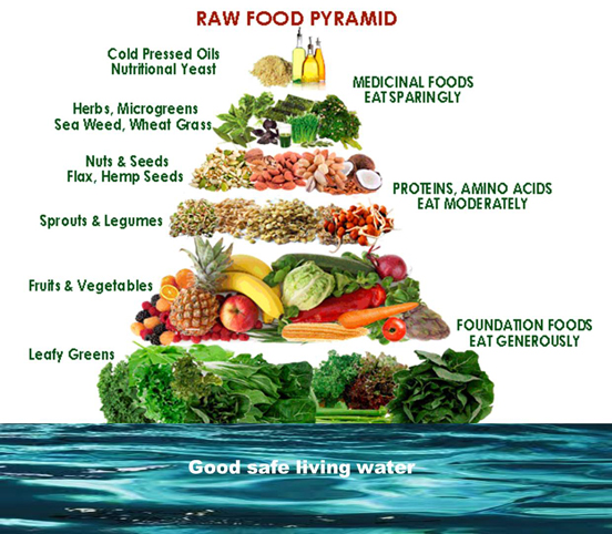 What qualifies as raw food?