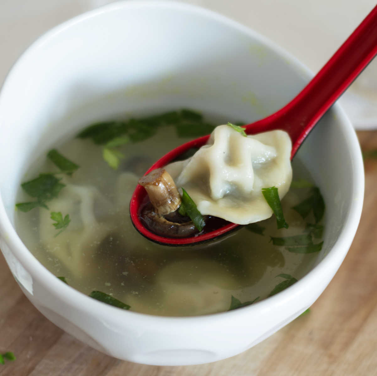 What region of China is wonton soup from?