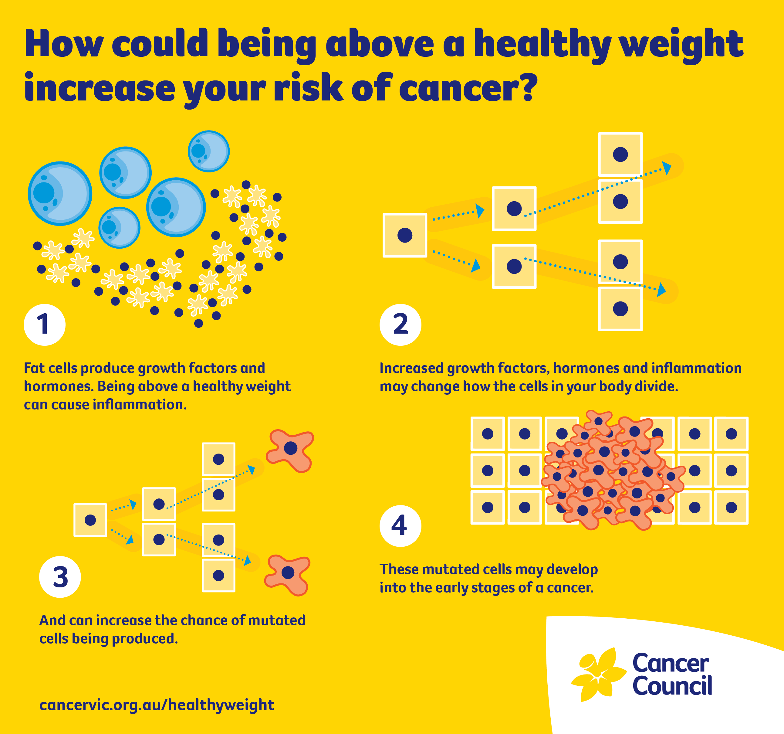 What role does weight play in cancer risk?