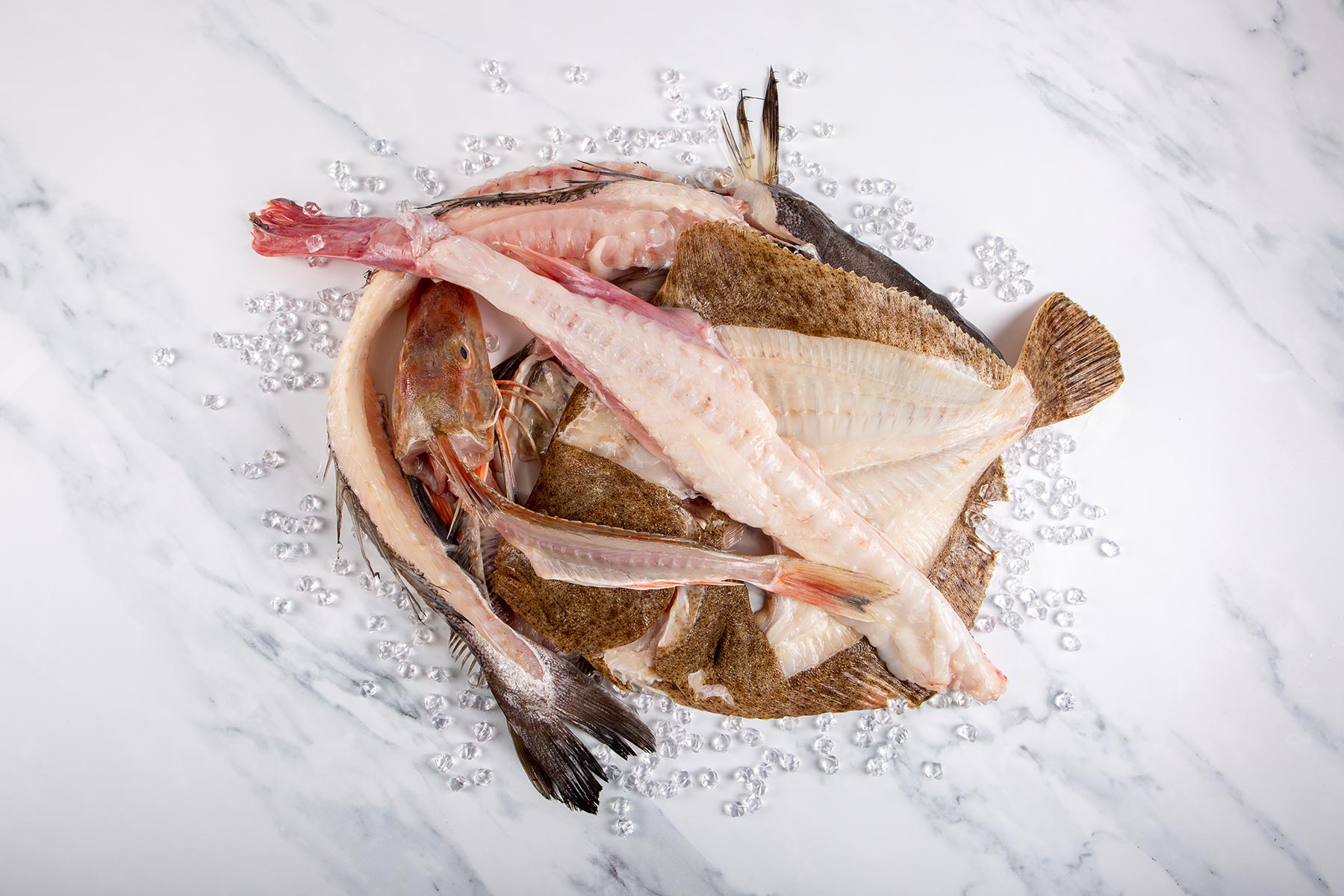 What round fish bones are good for stock?