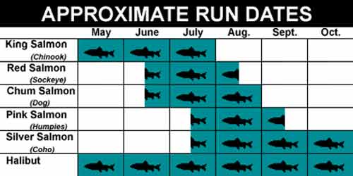 What salmon are running in July in Alaska?