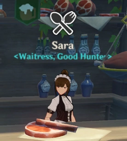 What Sara sells Genshin?