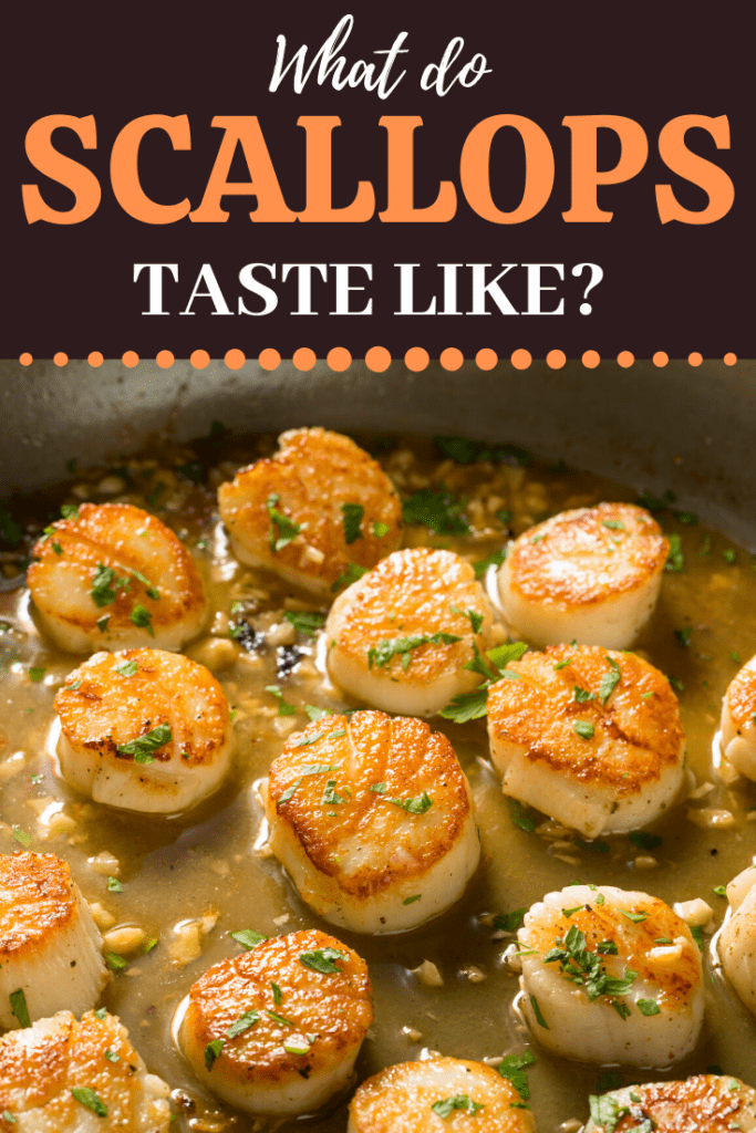 What scallops taste the best?