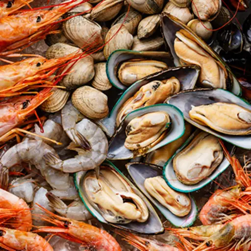 What seafood has a lot of cholesterol?