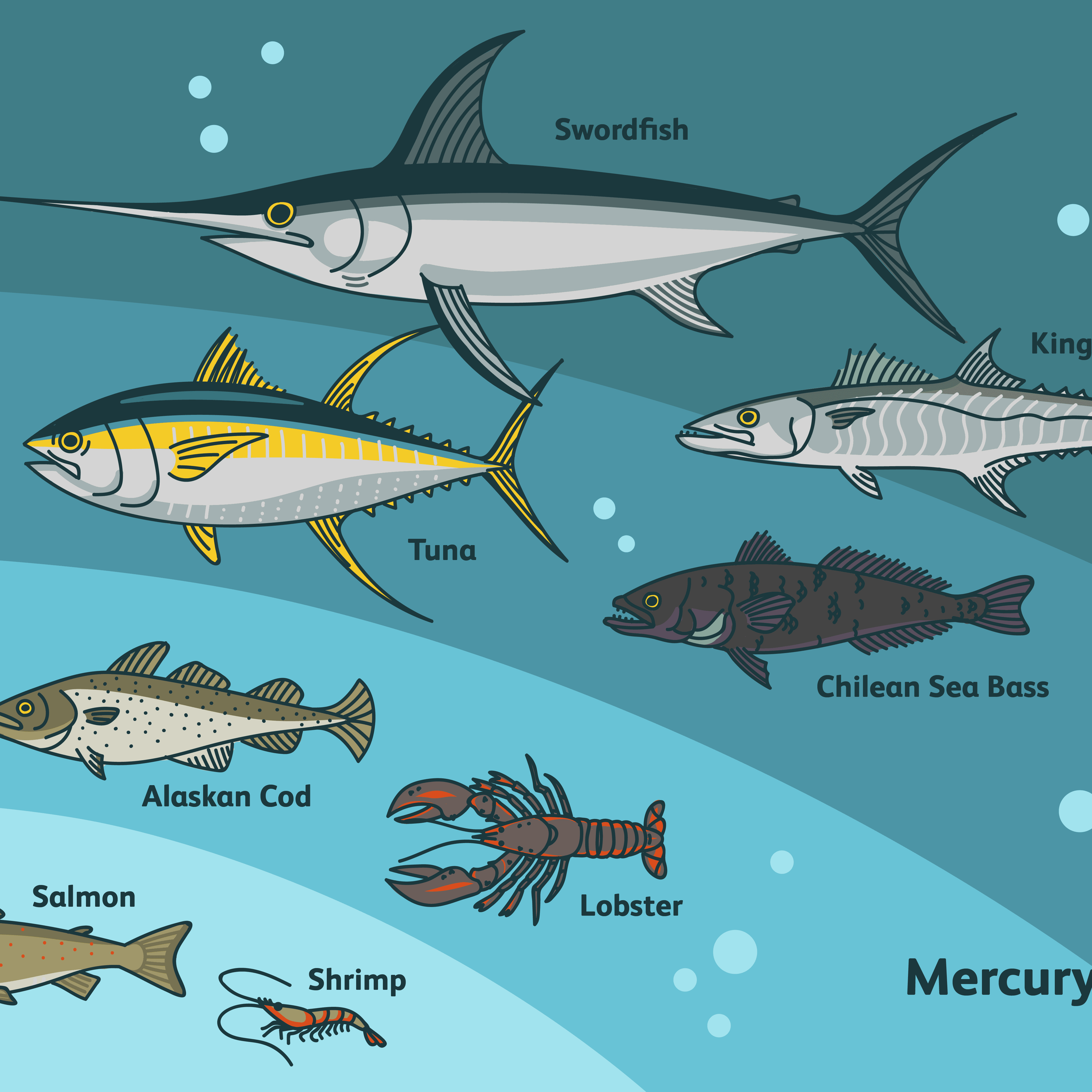 What seafood has the lowest mercury?