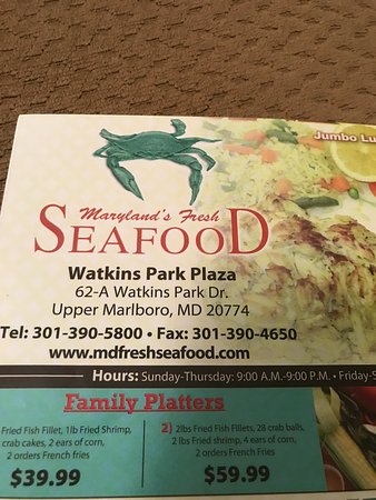 What seafood is fresh in Maryland?