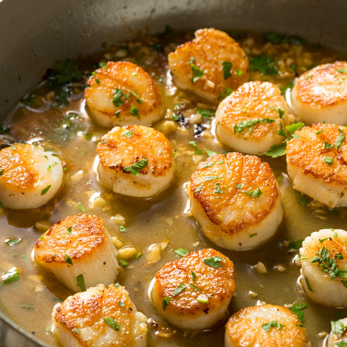 What seafood is similar to scallops?