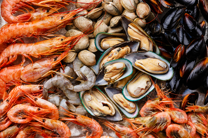 What shellfish are in UK waters?