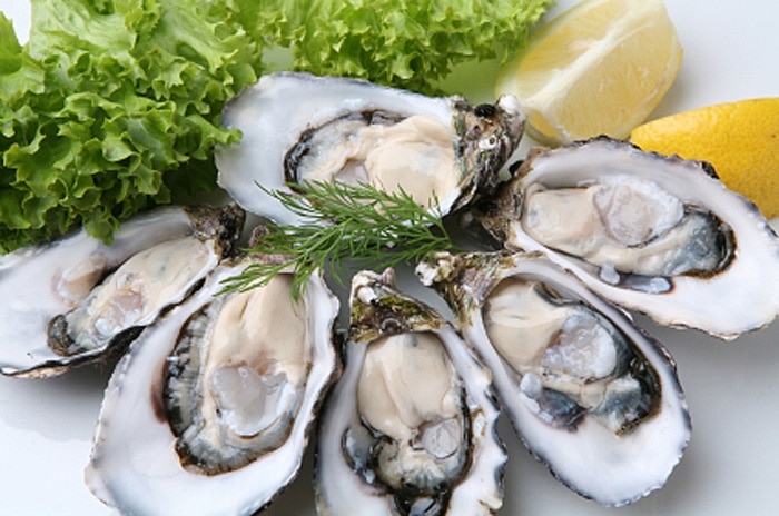 What shellfish are the best?