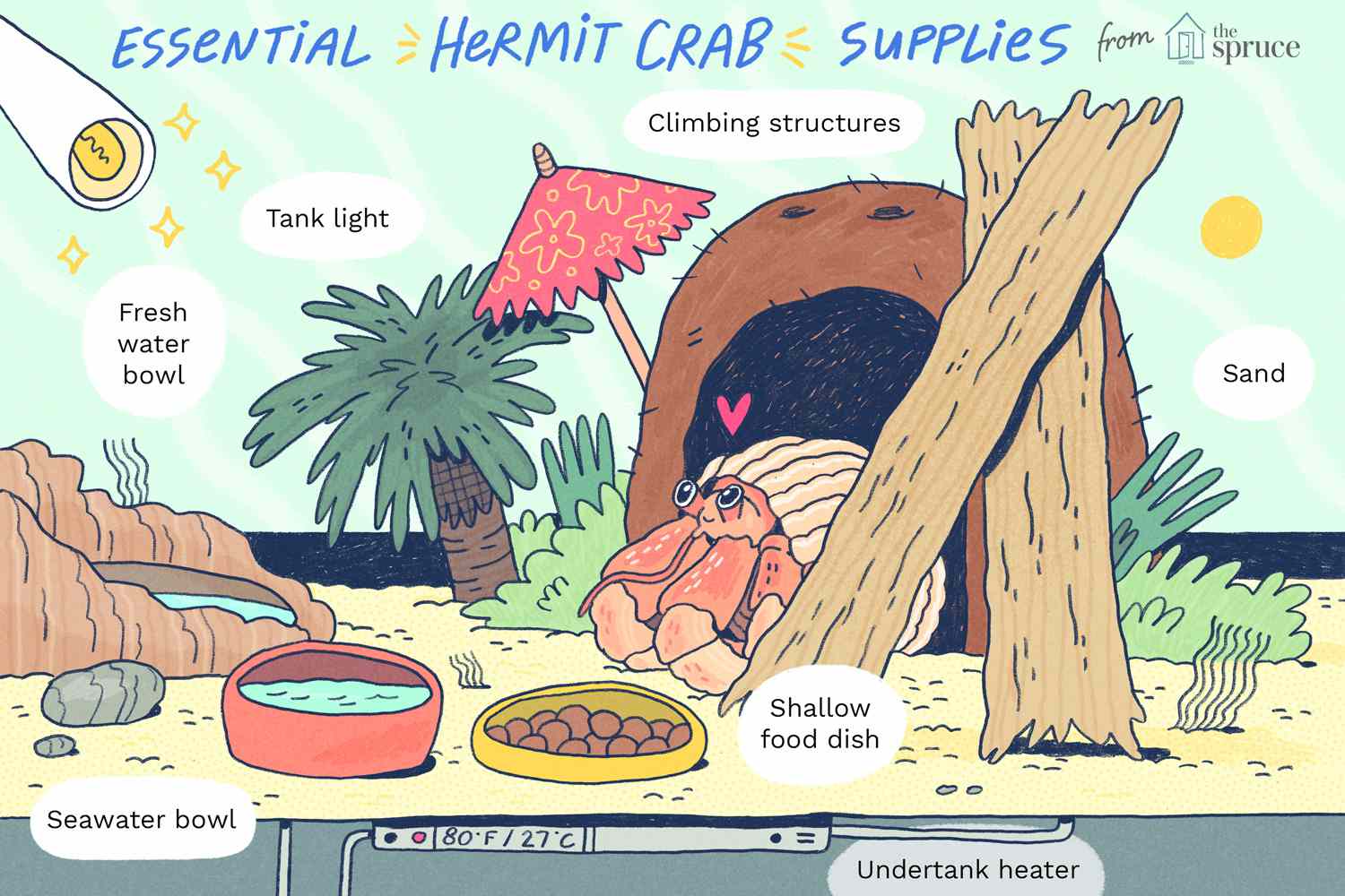 What should a hermit crab have in its tank?