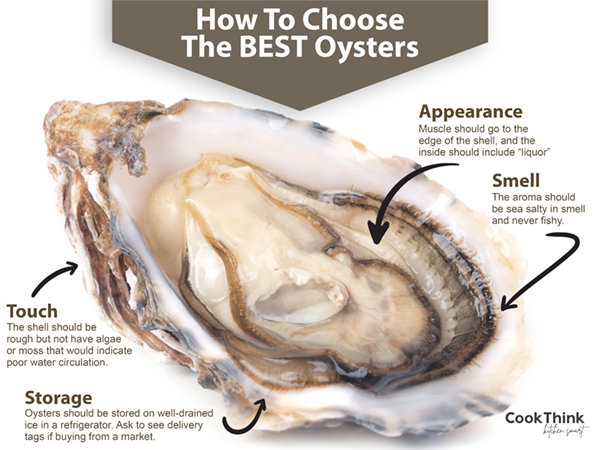 What should be the smell of fresh oyster?