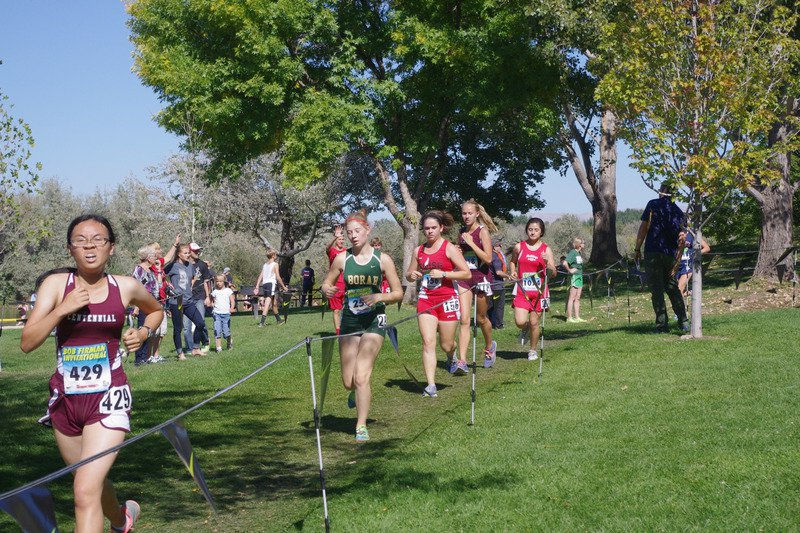 What should cross country runners not eat?