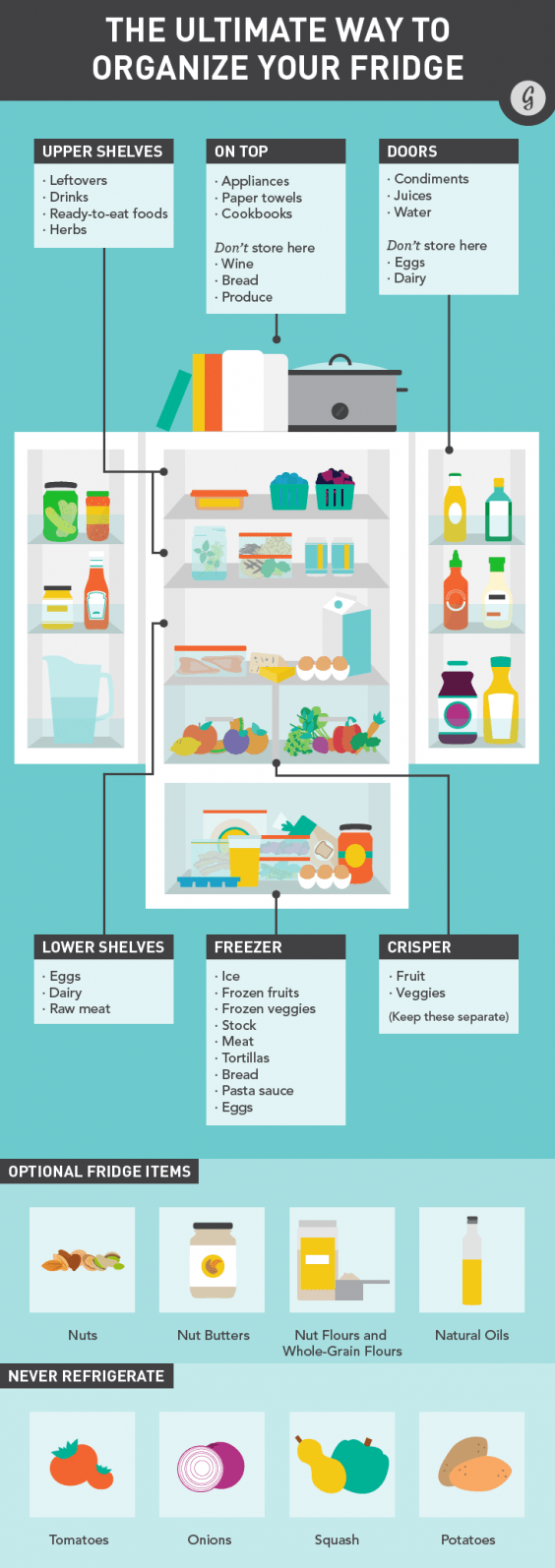What should go where in a freezer?