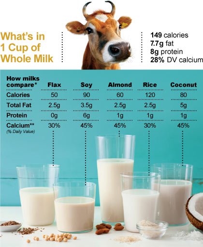What should I look for in milk alternatives?