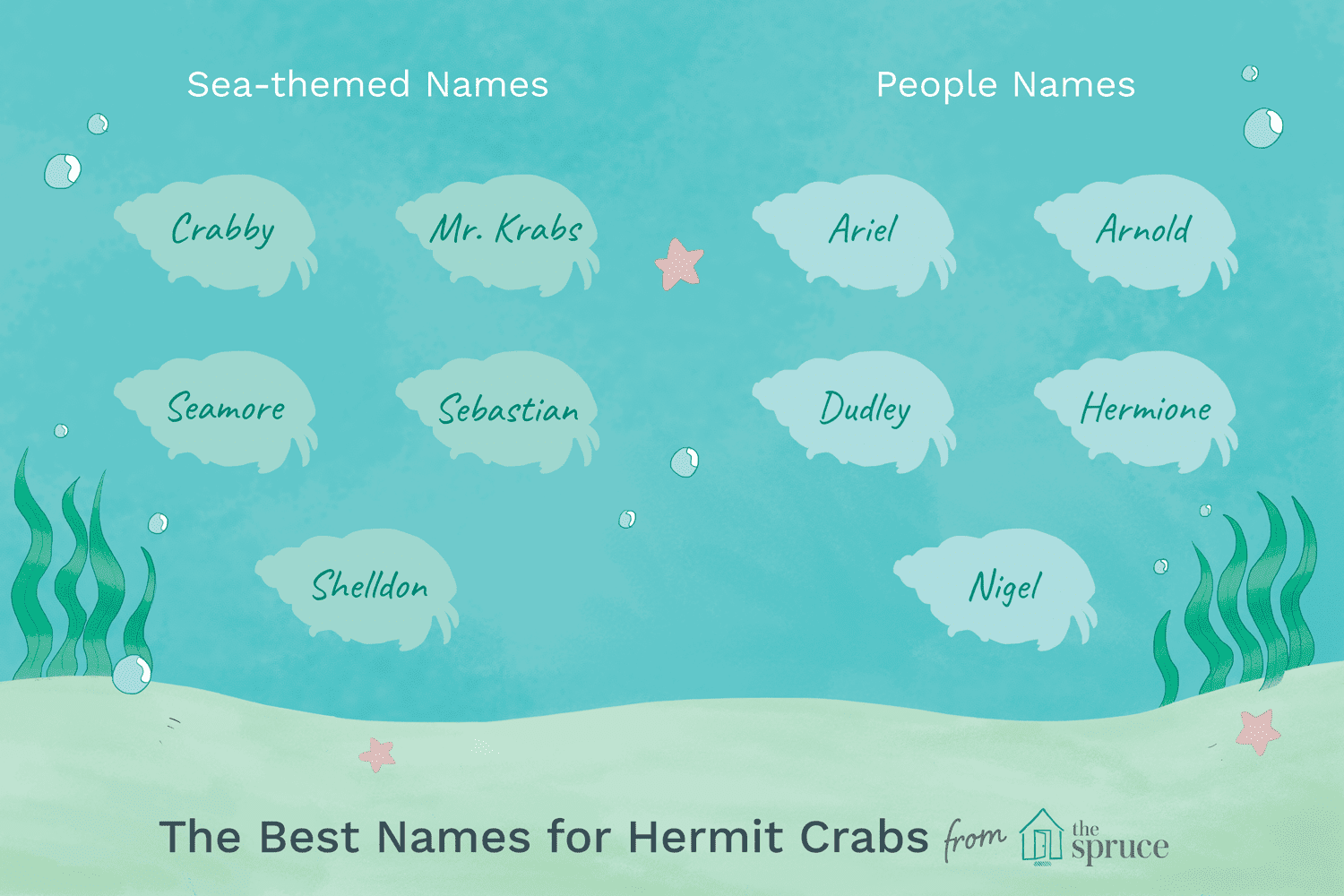 What should I name my crabs?